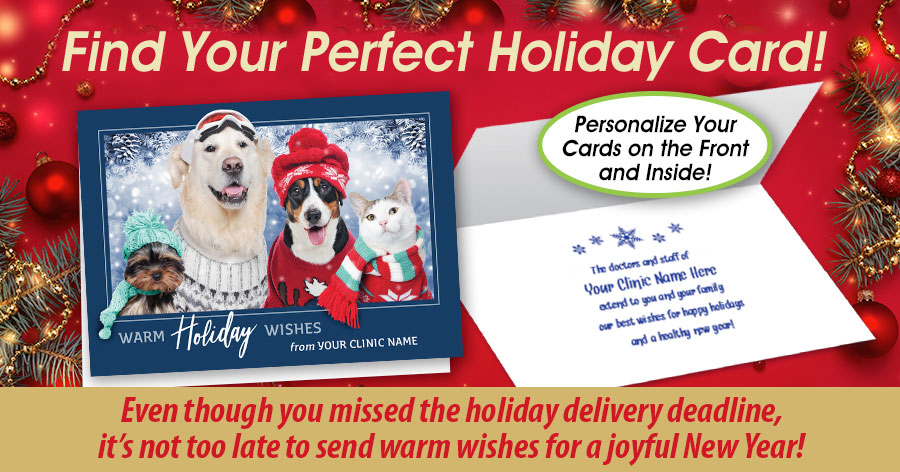 Personalized Bulk Greeting Cards for Veterinary Clinics | Sole Source