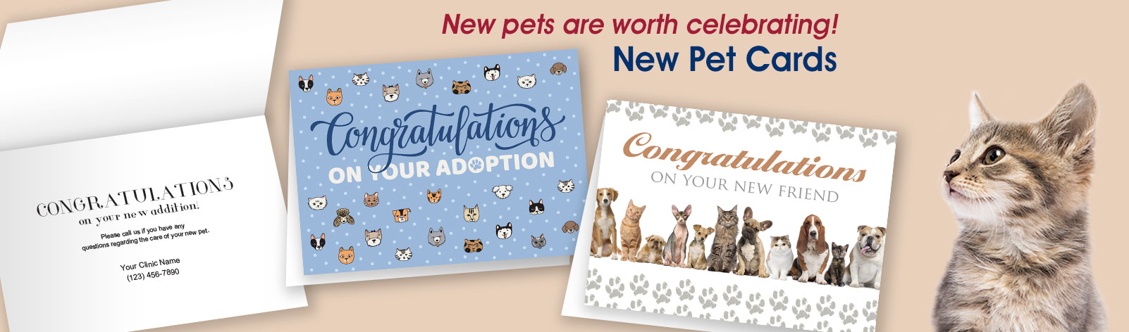 Personalized Bulk Greeting Cards for Veterinary Clinics | Sole Source