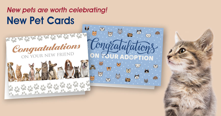 Personalized Bulk Greeting Cards for Veterinary Clinics | Sole Source