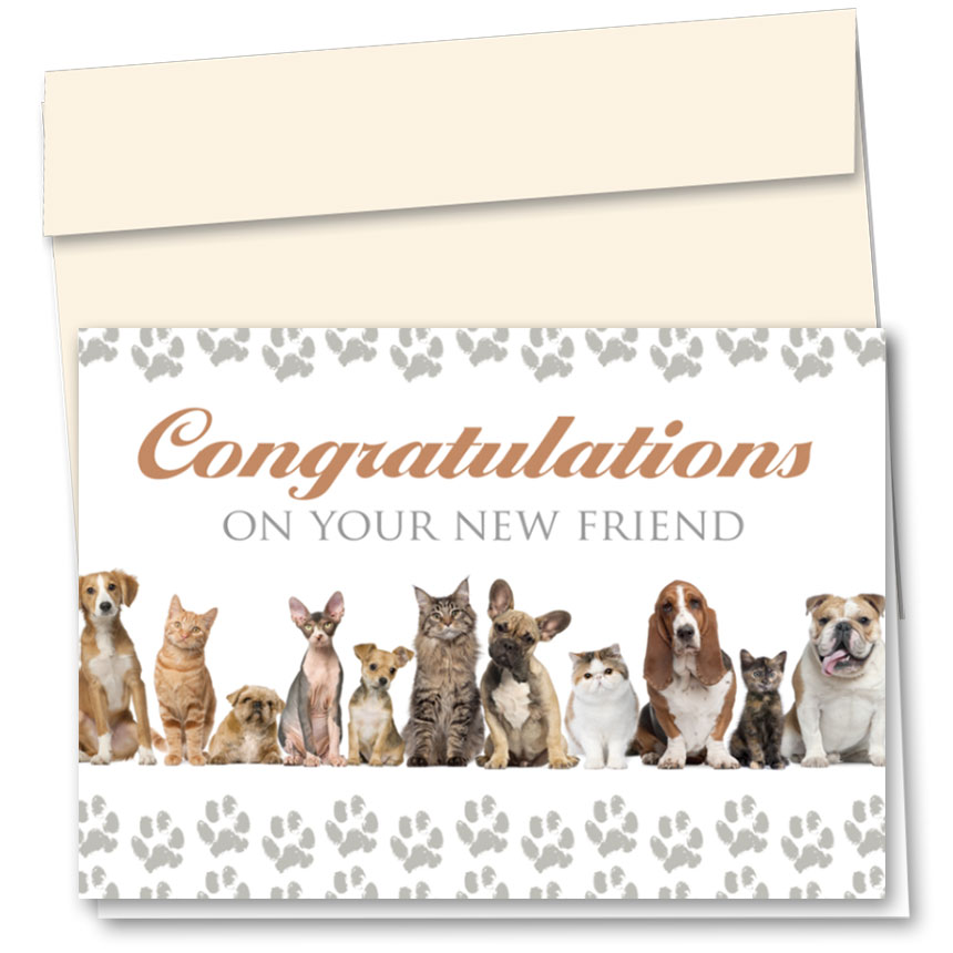 New Pet Card New Friend Line Up Veterinary Greeting Cards Sole Source
