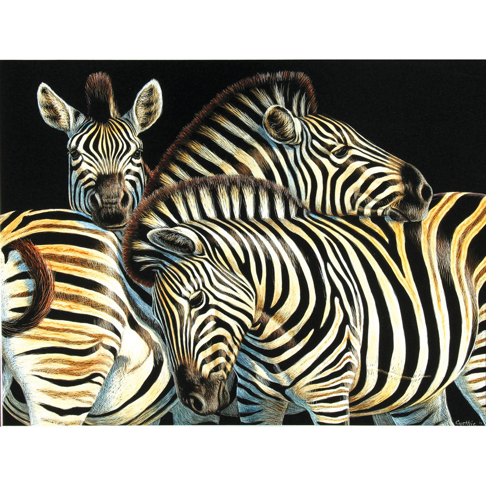Zebras 500 Piece Jigsaw Puzzle | Spilsbury