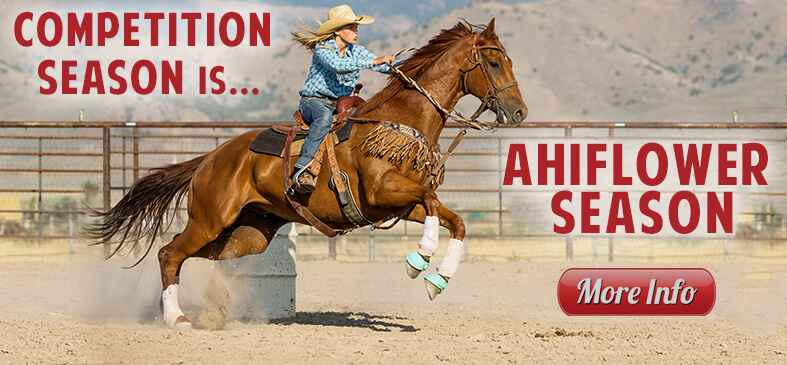 Springtime, Inc | Natural Supplements for Dogs, Horses, & People