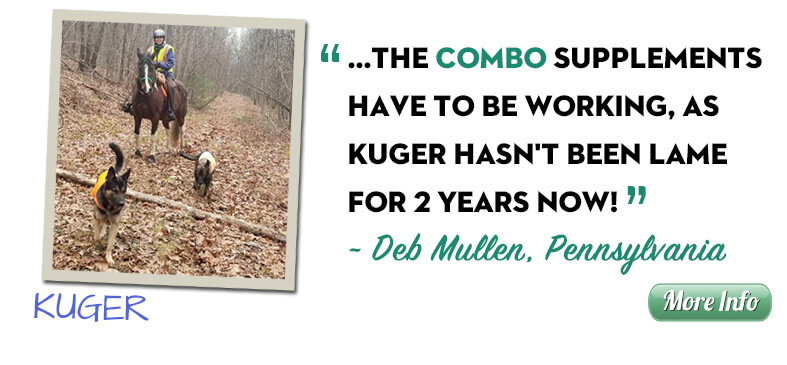 Springtime, Inc | Natural Supplements for Dogs, Horses, & People