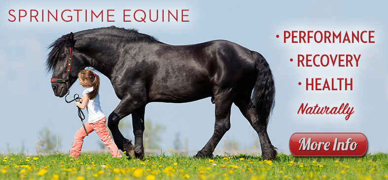 Springtime, Inc | Natural Supplements for Dogs, Horses, & People