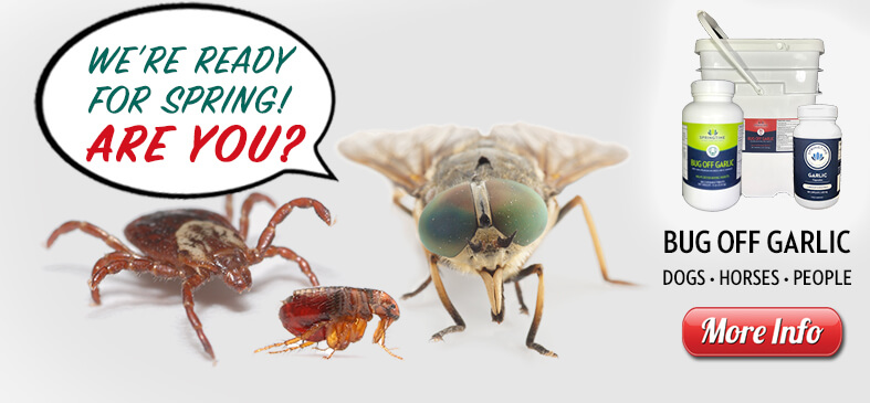 Springtime, Inc | Natural Supplements for Dogs, Horses, & People