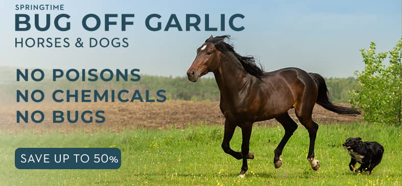 Springtime Supplements | Natural Supplements for Dogs, Horses, & People