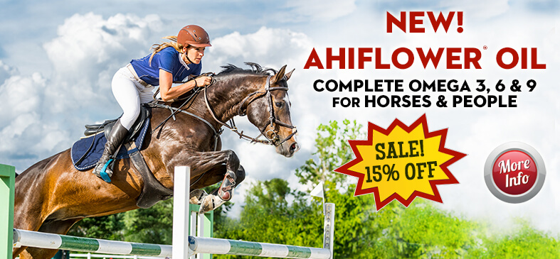 Springtime, Inc | Natural Supplements for Dogs, Horses, & People