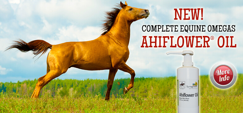 Springtime, Inc | All Natural Supplements for Dogs, Horses, & People