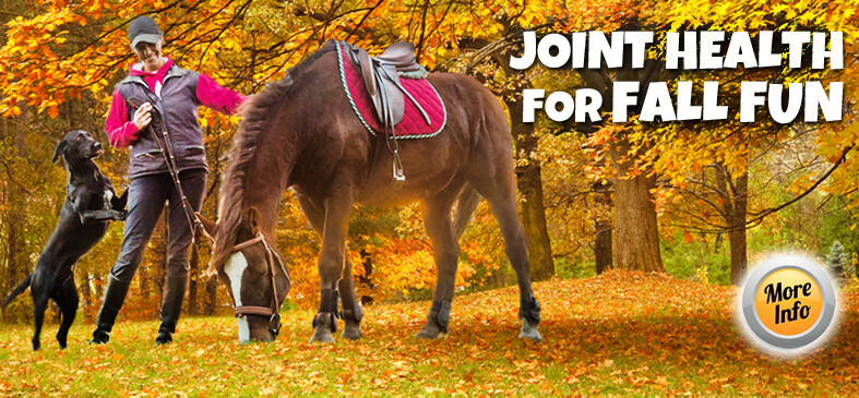 Springtime, Inc | All Natural Supplements for Dogs, Horses, & People