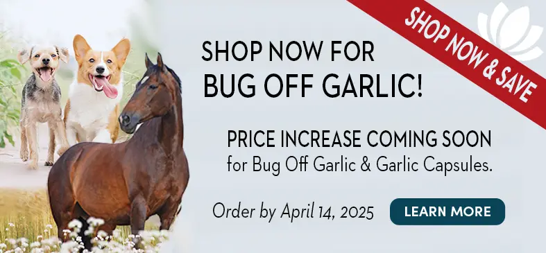 Springtime Supplements | Natural Supplements for Dogs, Horses, & People