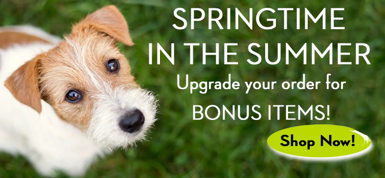 Springtime, Inc | Natural Supplements for Dogs, Horses, & People