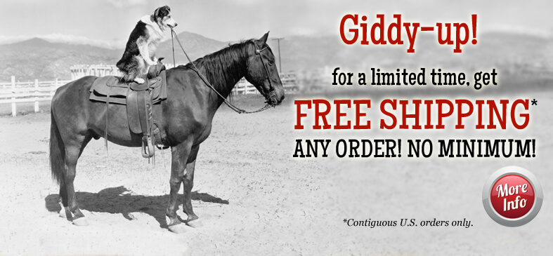 Springtime, Inc | Natural Supplements for Dogs, Horses, & People