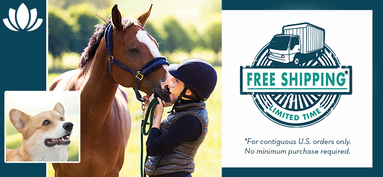 Springtime Supplements | Natural Supplements for Dogs, Horses, & People