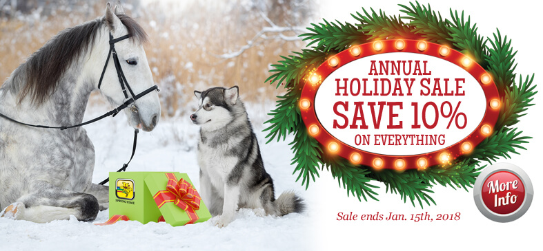 Springtime, Inc | All Natural Supplements for Dogs, Horses, & People