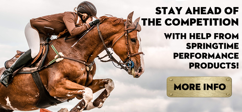 Springtime Supplements | Natural Supplements for Dogs, Horses, & People