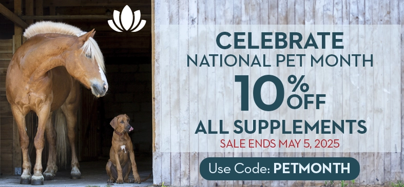 Springtime Supplements | Natural Supplements for Dogs, Horses, & People