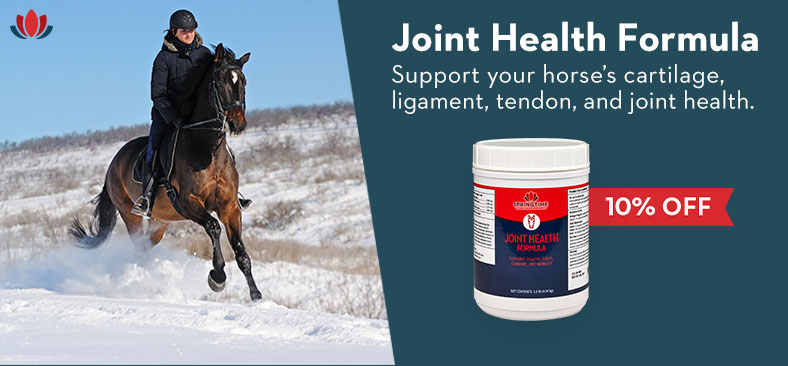 Springtime Supplements | Natural Supplements for Dogs, Horses, & People