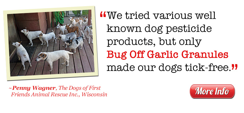 Springtime, Inc | Natural Supplements for Dogs, Horses, & People