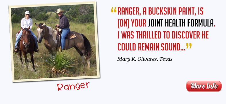 Springtime, Inc | All Natural Supplements for Dogs, Horses, & People