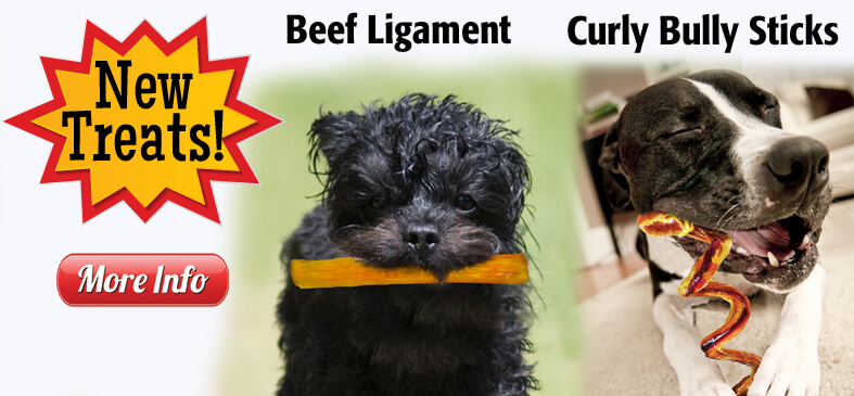 Springtime, Inc | All Natural Supplements for Dogs, Horses, & People