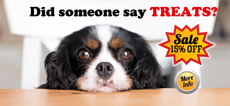 Springtime, Inc | All Natural Supplements for Dogs, Horses, & People