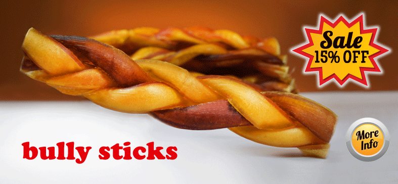 Springtime, Inc | All Natural Supplements for Dogs, Horses, & People