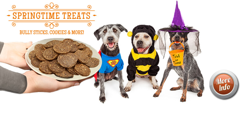 Springtime, Inc | All Natural Supplements for Dogs, Horses, & People