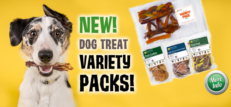 Springtime, Inc | Natural Supplements for Dogs, Horses, & People