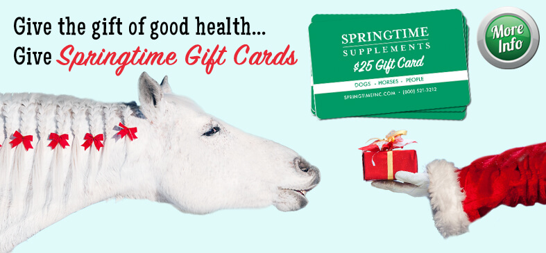 Springtime, Inc | All Natural Supplements for Dogs, Horses, & People