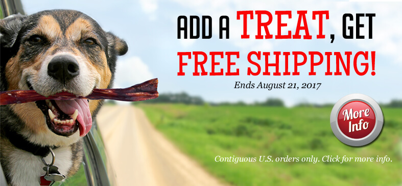 Springtime, Inc | All Natural Supplements for Dogs, Horses, & People