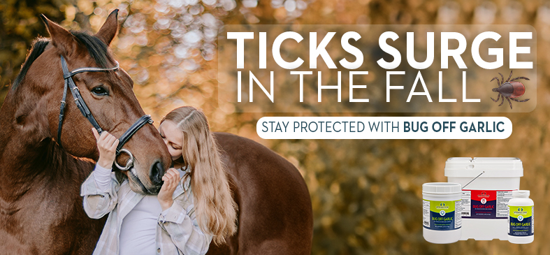 Springtime Supplements | Natural Supplements for Dogs, Horses, & People