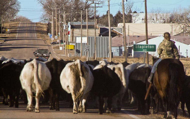 Home | Stapleton, Nebraska