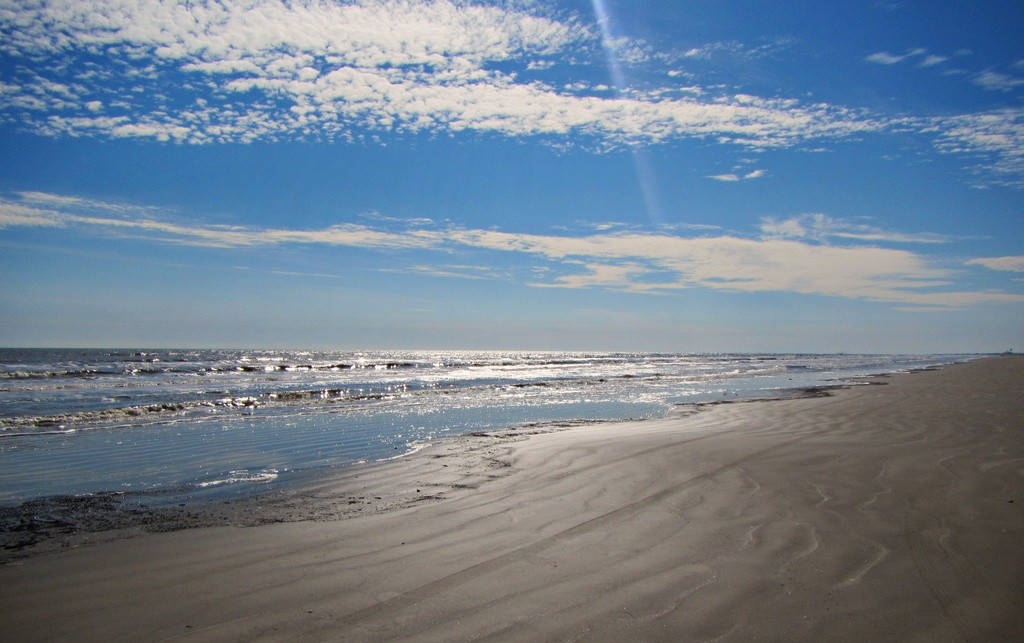 Beaches in Texas | Swim Guide