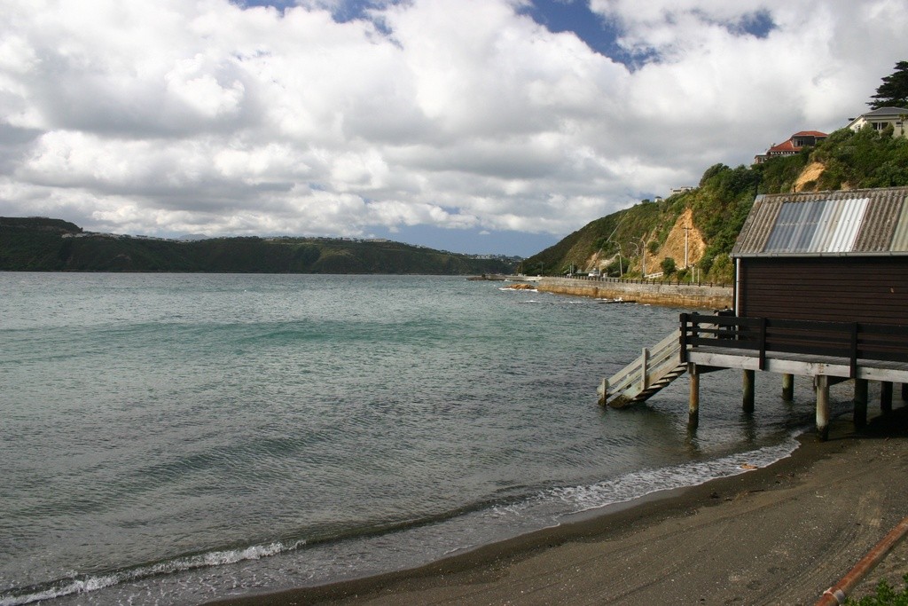 Balaena Bay - Swim Guide