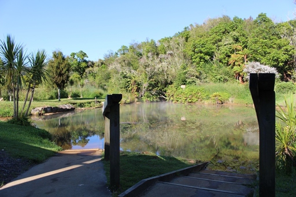 Waitangi Soda Springs at Bathing Pool - Swim Guide