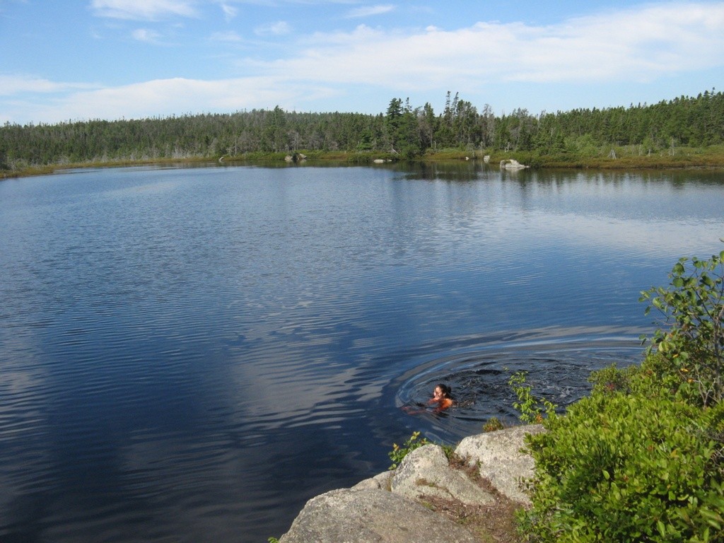 Tea Lake/ Purcells Pond | Swim Guide