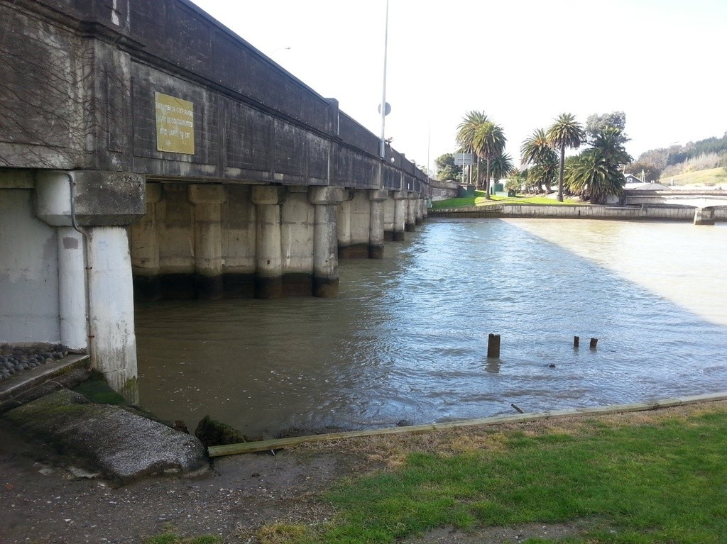 Turanganui River at Gladstone Road Bridge - Swim Guide