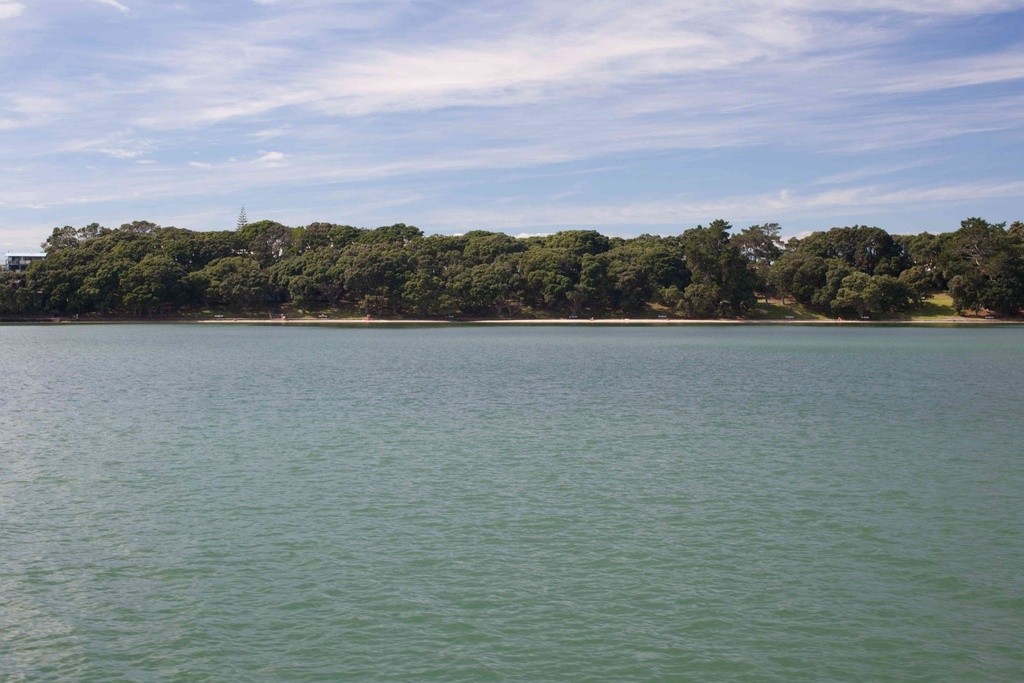 Point Chevalier Beach - Swim Guide