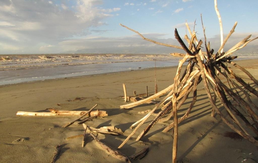 Moturoa / Rabbit Island at Main Beach - Swim Guide