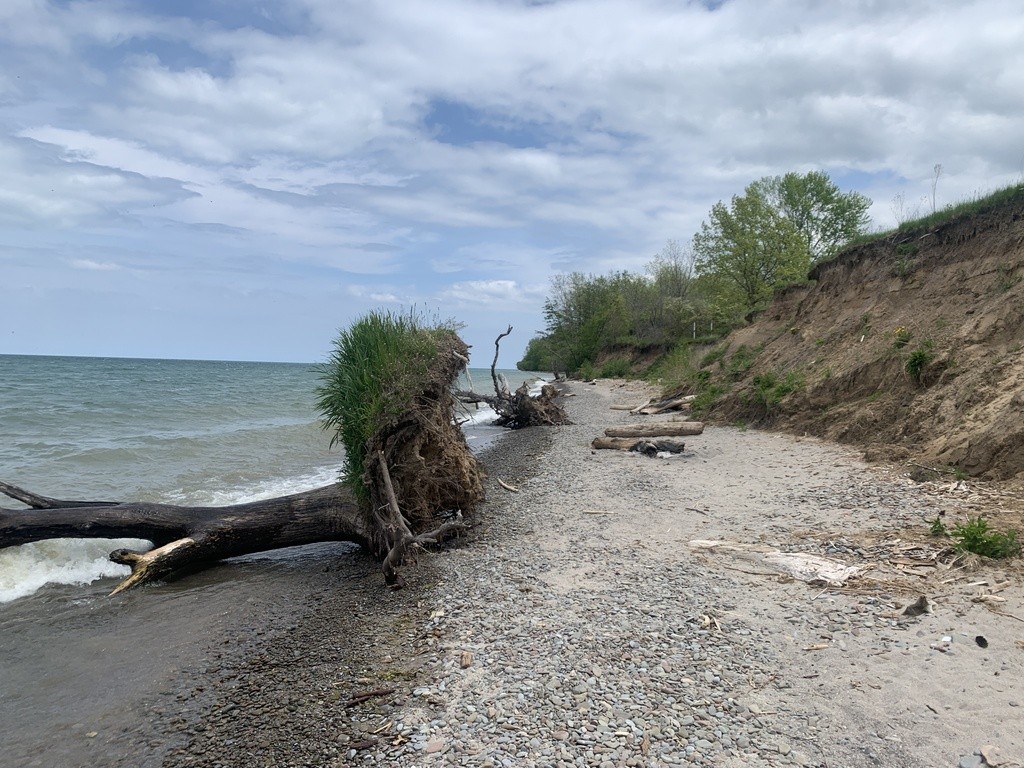 Niagara Shores - Swim Guide