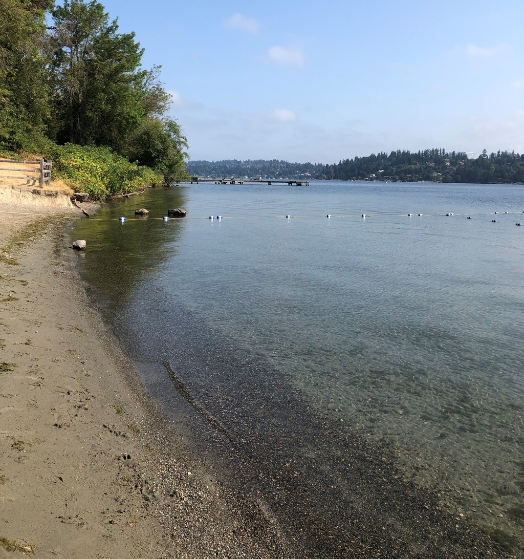 Luther Burbank Park - Swim Guide