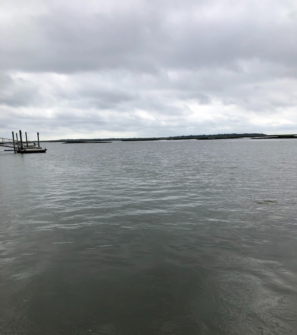 Clark Sound - Swim Guide