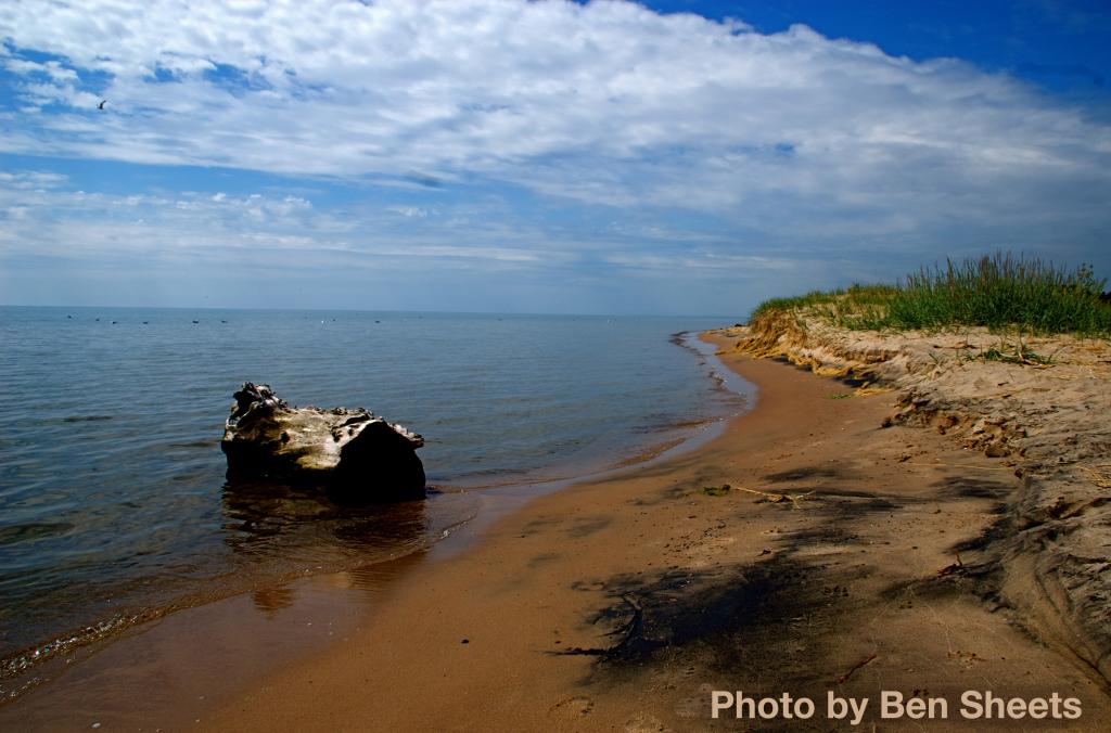 Kohler-Andrae State Park North Picnic | Swim Guide