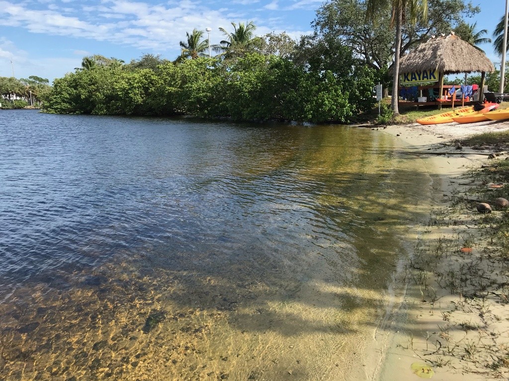 Middle River (George English Park) | Swim Guide