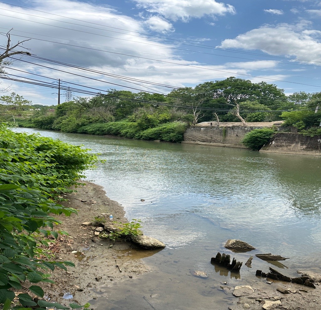 Chartiers Creek | Swim Guide