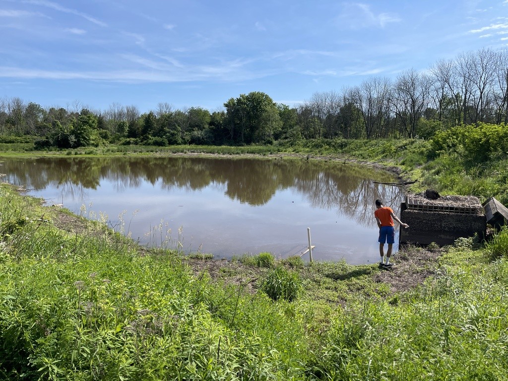 (WP2) Wargo Pond - Swim Guide