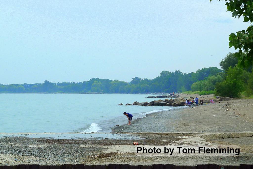 Confederation Park | Swim Guide