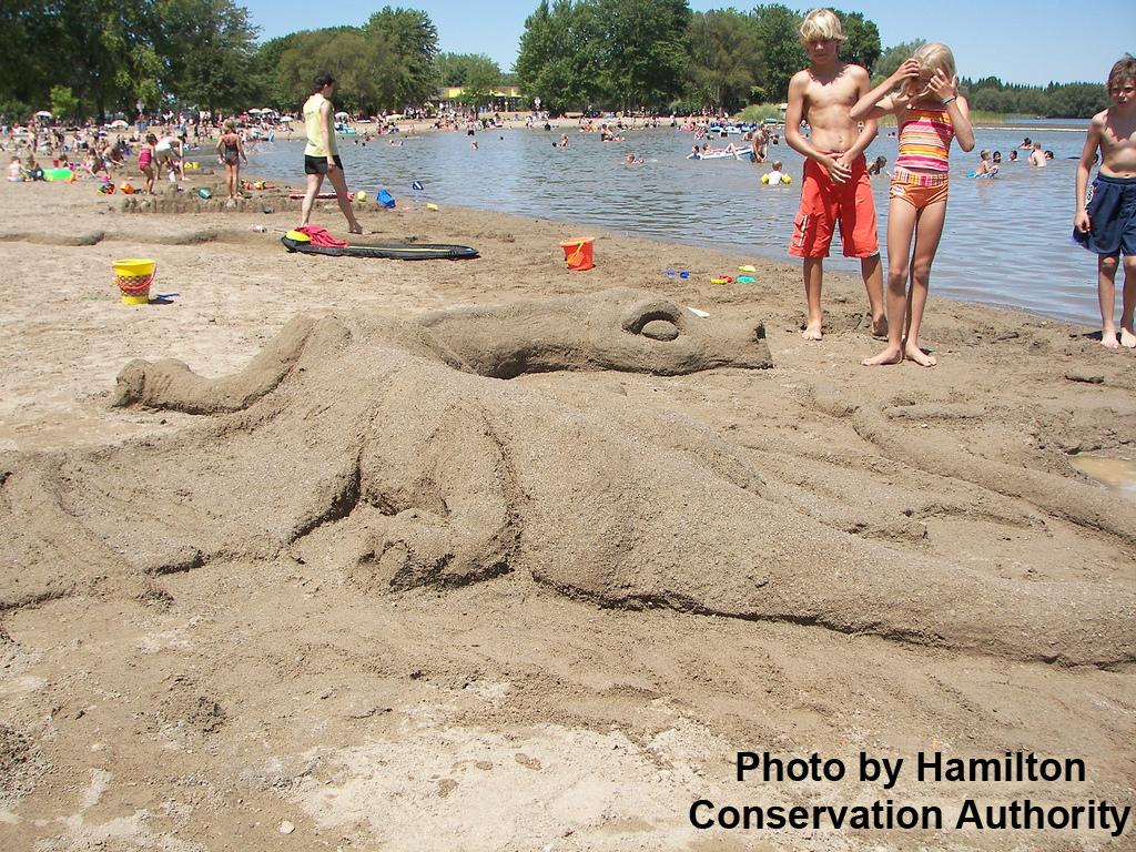 Valens Conservation | Great Lakes Guide