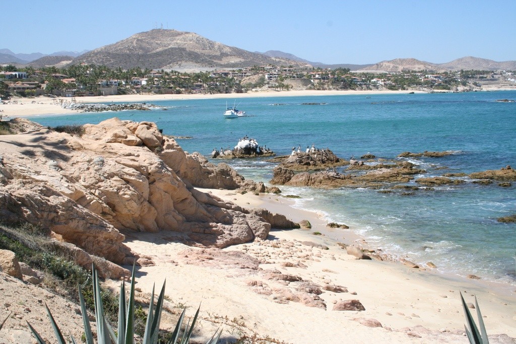 Playa Palmilla | Swim Guide