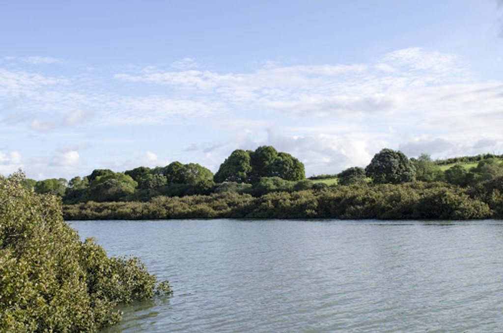 Meola Reef | Swim Guide